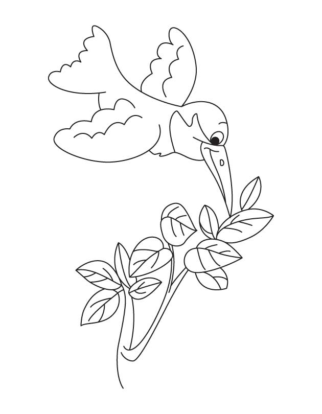 Hummingbird looking food coloring page